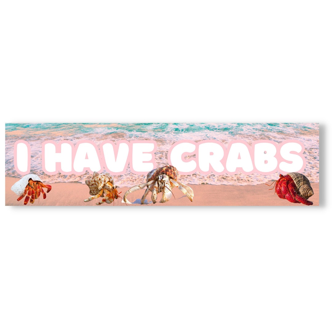 I Have Crabs Bumper Sticker - Funny Hermit Crab Unhinged Meme Gen Z ...