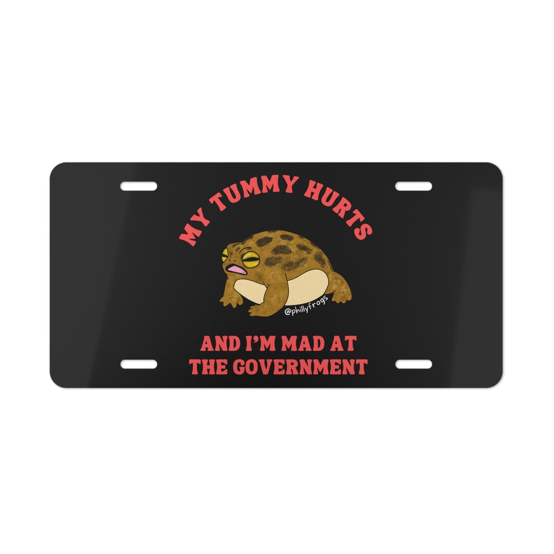 My Tummy Hurts and I’m Mad at the Government - Screaming Desert Rain ...