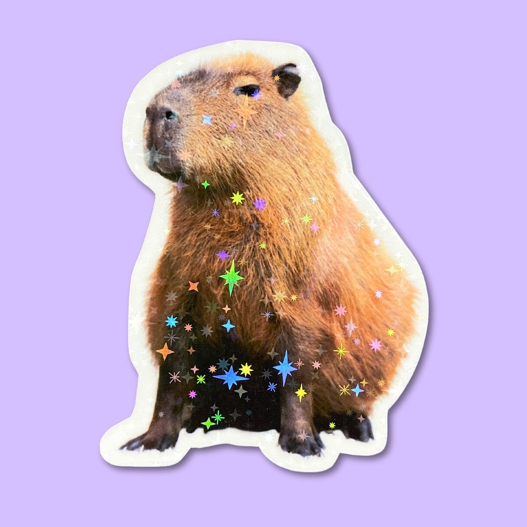 Sassy Capybara Holographic Sparkle Vinyl Sticker - Funny Cute Side Eye Weird Car Decal Aquarius ...