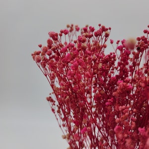 Natural Preserved Gypso, Baby's Breath Flower Bundle - Etsy