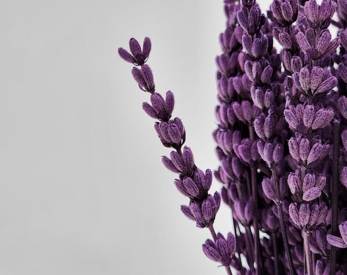 Natural Preserved Lavender Bundle Flowers Perfect for Home Decor ...