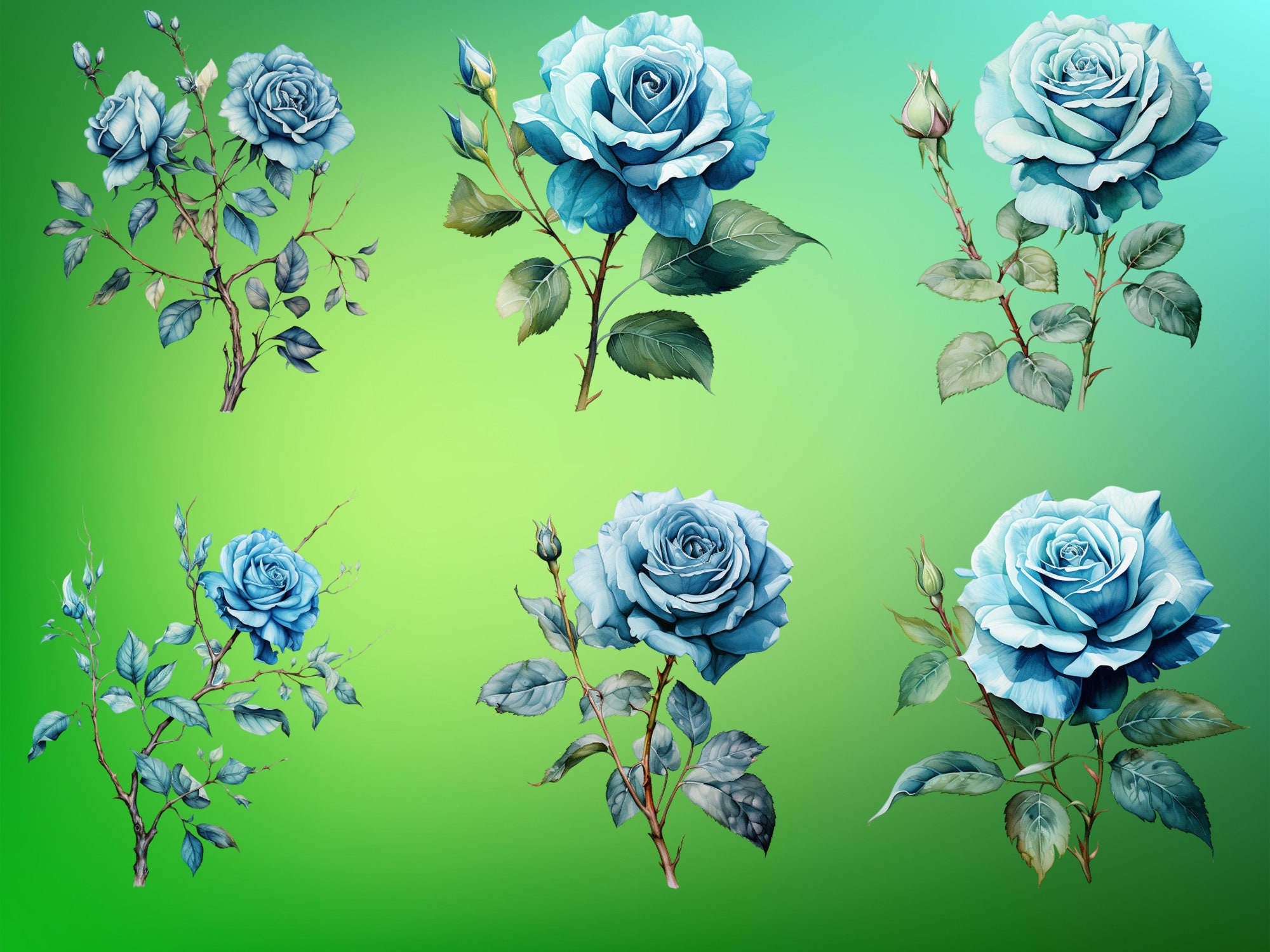 Watercolor Flowers Clipart Turquoise Roses Clipart Wedding - Etsy