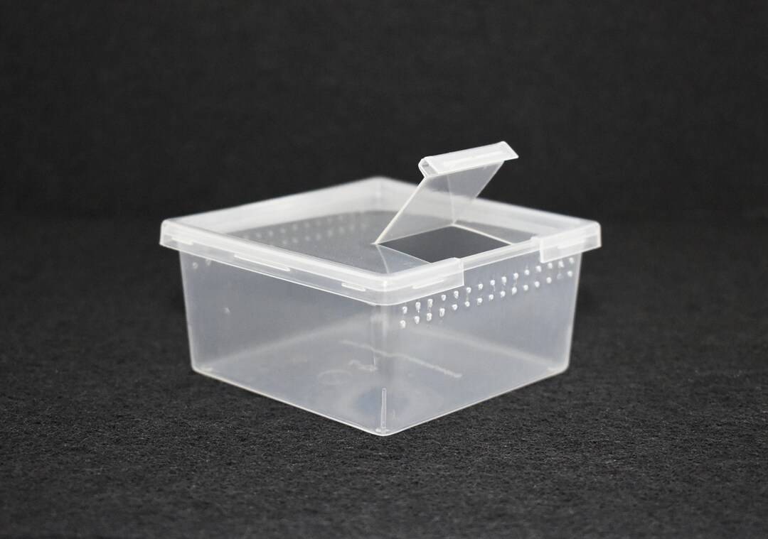 Isopod Enclosure Spider Enclosure Insect Enclosure Micro - Etsy