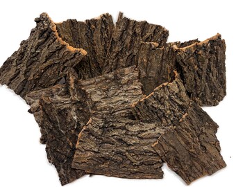 Fallen Tree Stump - Etsy