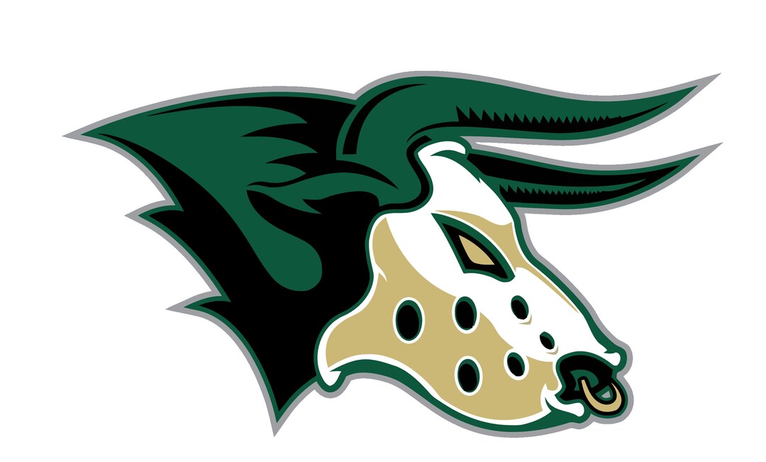 University of South Florida SVG Cutting File for Cricut USF - Etsy