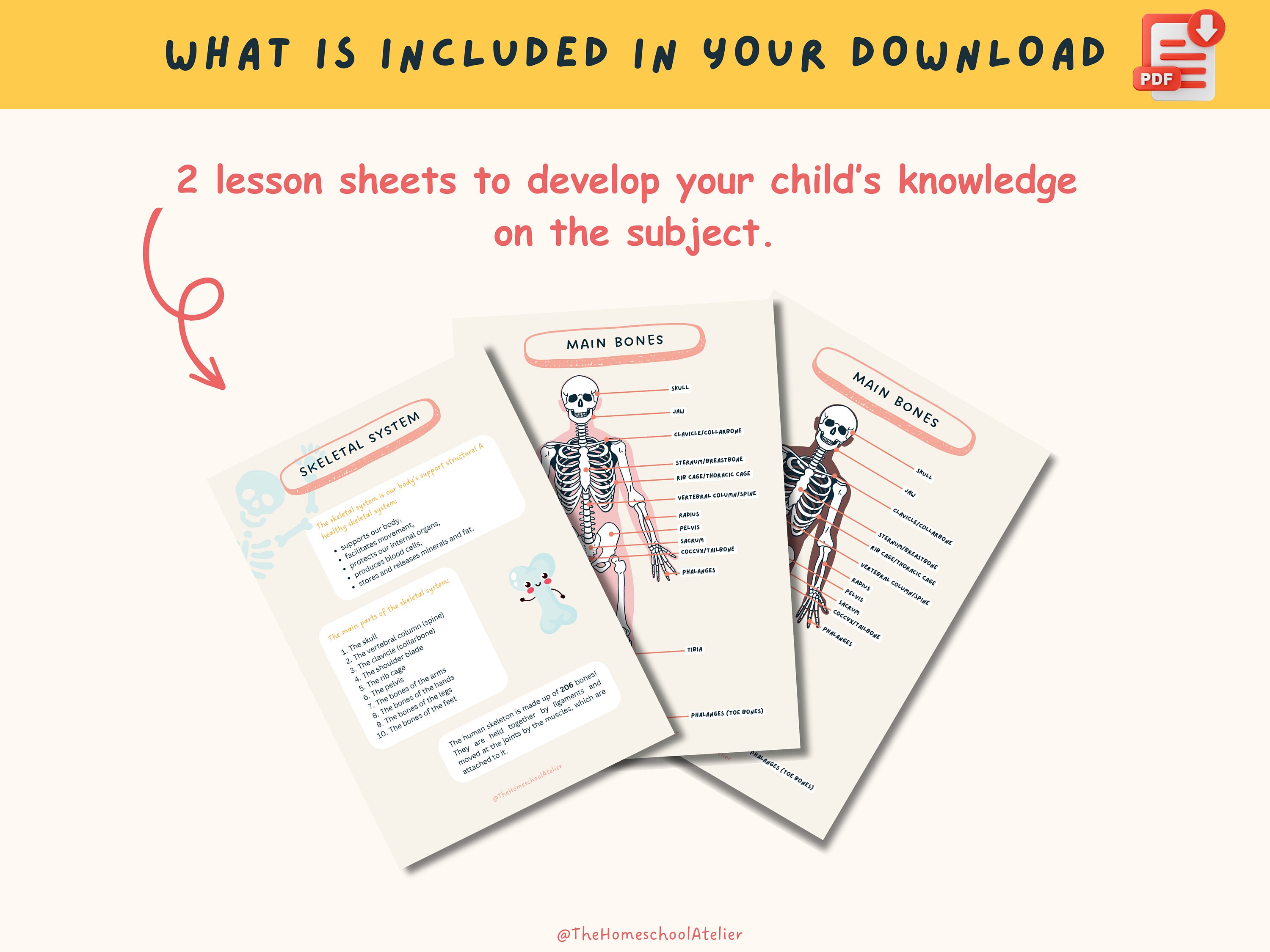 Human Skeleton Anatomy Activity, Printable Skeletal System, Quiet Book ...