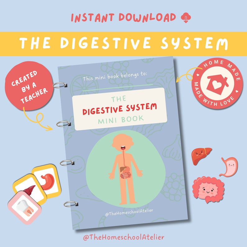 Human Digestive System, Human Anatomy Busy Book, Homeschool Resources ...