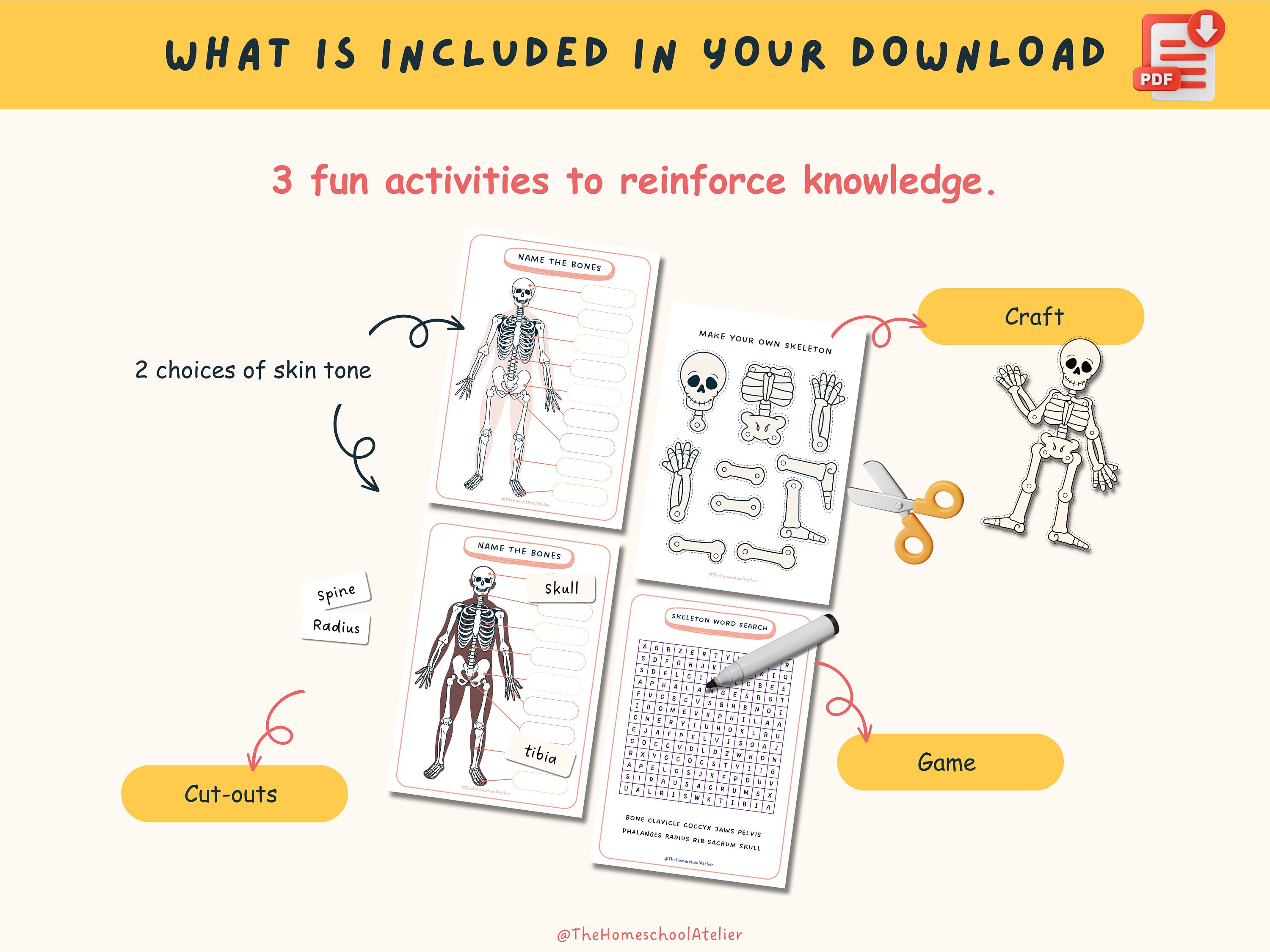 Human Skeleton Anatomy Activity, Printable Skeletal System, Quiet Book ...