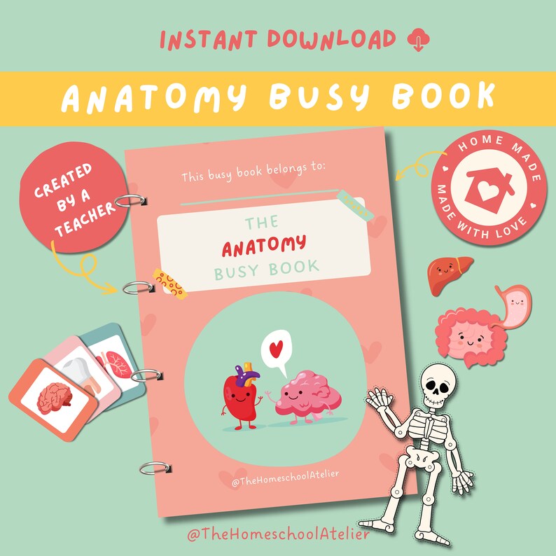 Human Anatomy Busy Book, Printable Preschool Worksheets, Homeschool ...