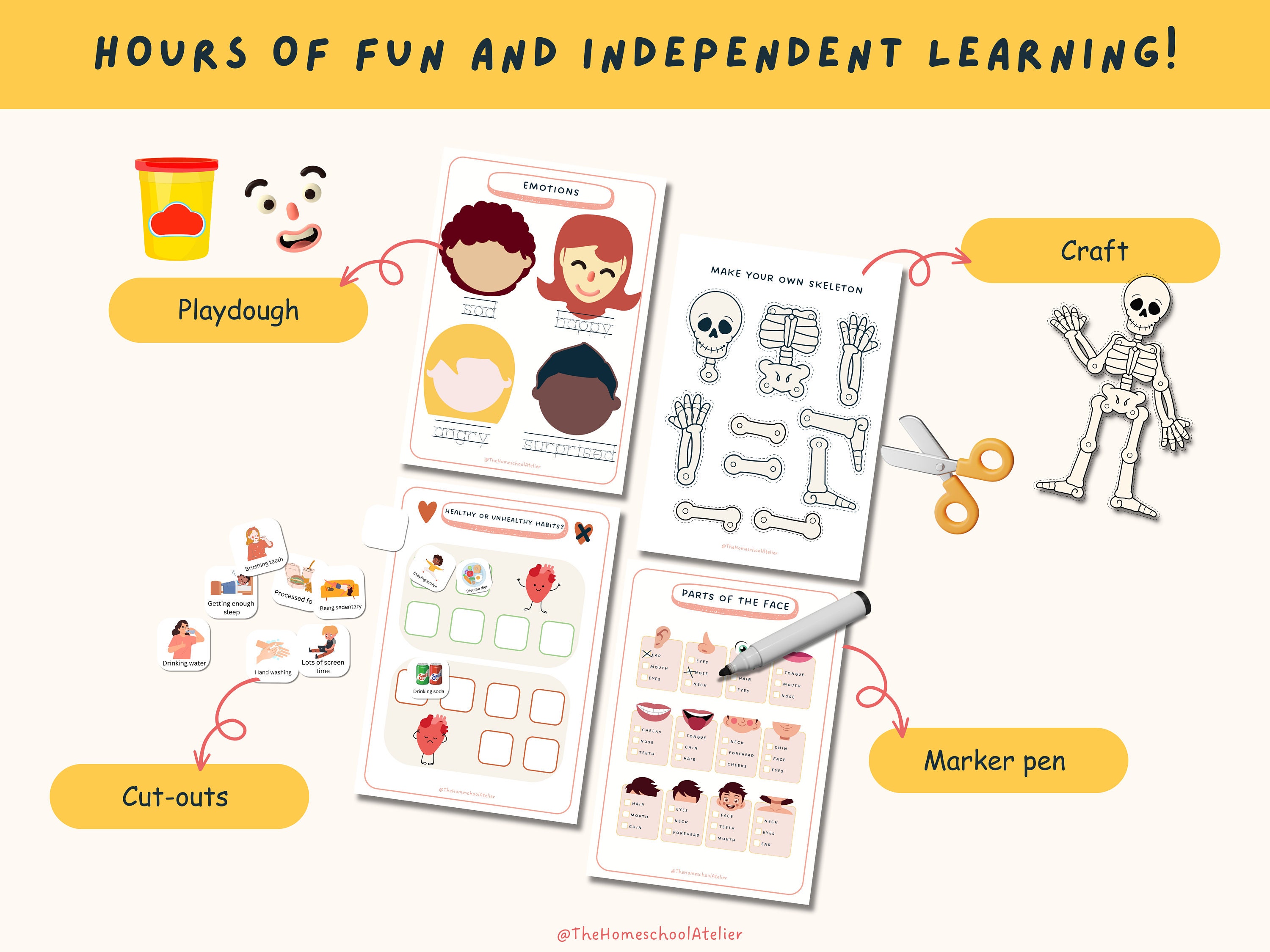Human Anatomy Busy Book, Printable Preschool Worksheets, Homeschool ...