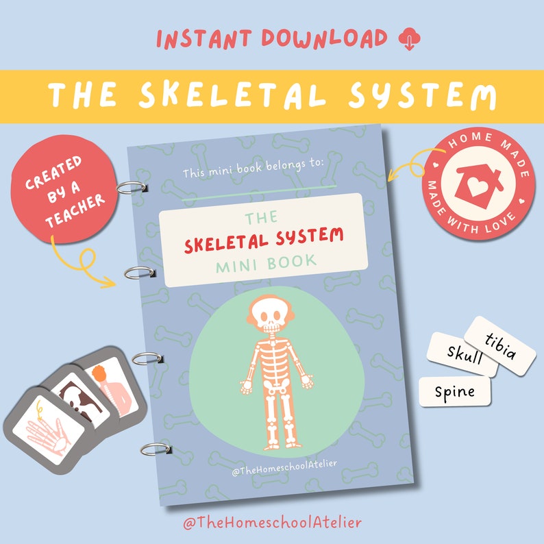 Human Skeleton Anatomy Activity, Printable Skeletal System, Quiet Book ... Human Skeleton Anatomy Activity, Printable Skeletal System, Quiet Book ...