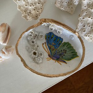 Butterfly, Clam Shell, Trinket Dish, Jewelry Dish, Beach Decor - Etsy