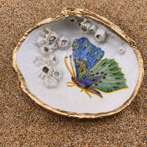 Butterfly, Clam Shell, Trinket Dish, Jewelry Dish, Beach Decor - Etsy