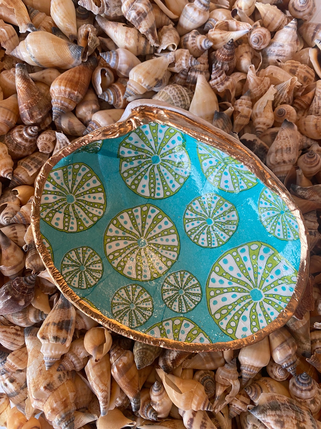Green and Turquoise Sea Urchins on Clam Shell, Trinket Dish, Jewelry ...