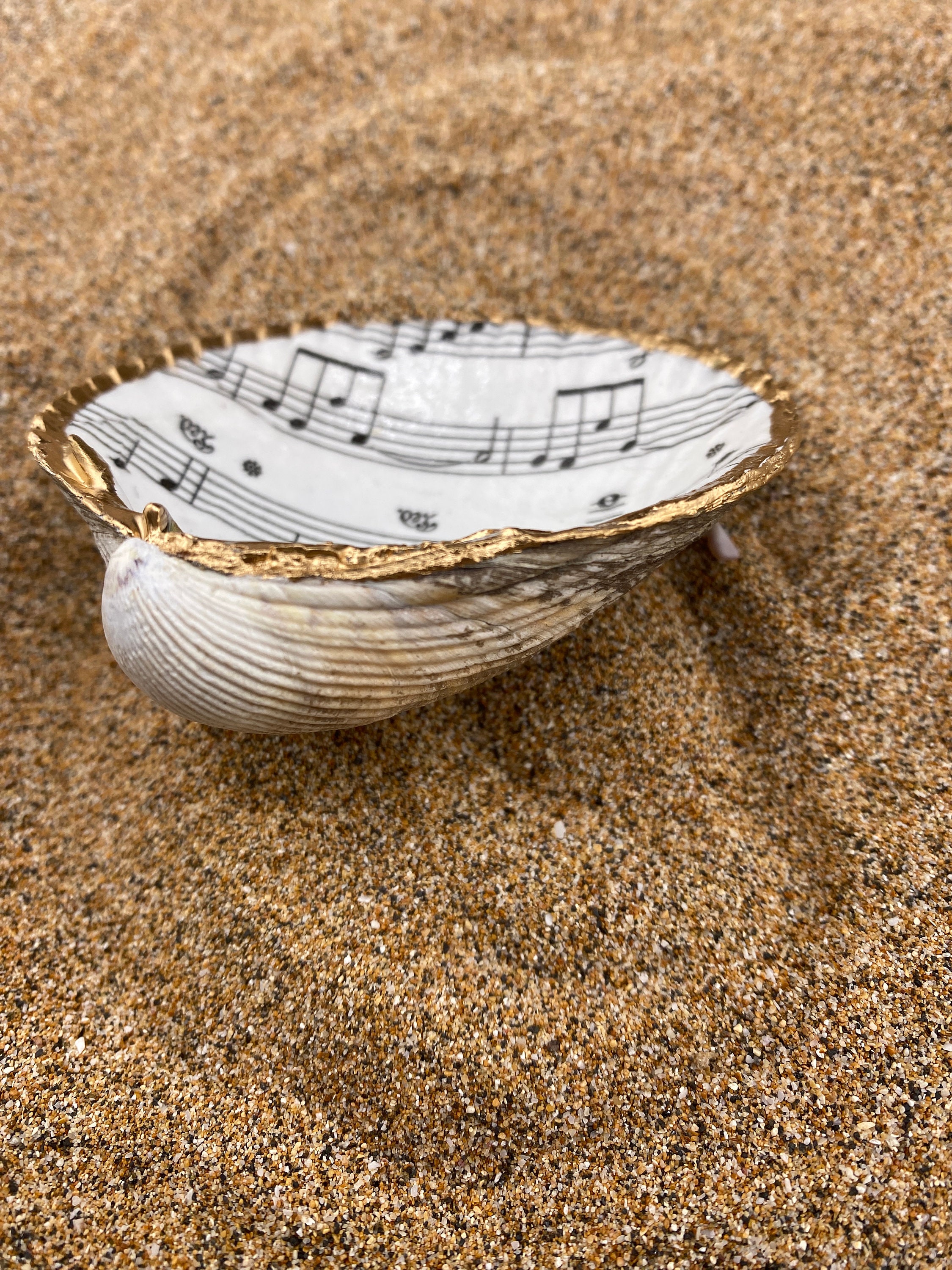 Music, Musical Score on Clam Shell, Trinket Dish, Jewelry Dish, Beach ...