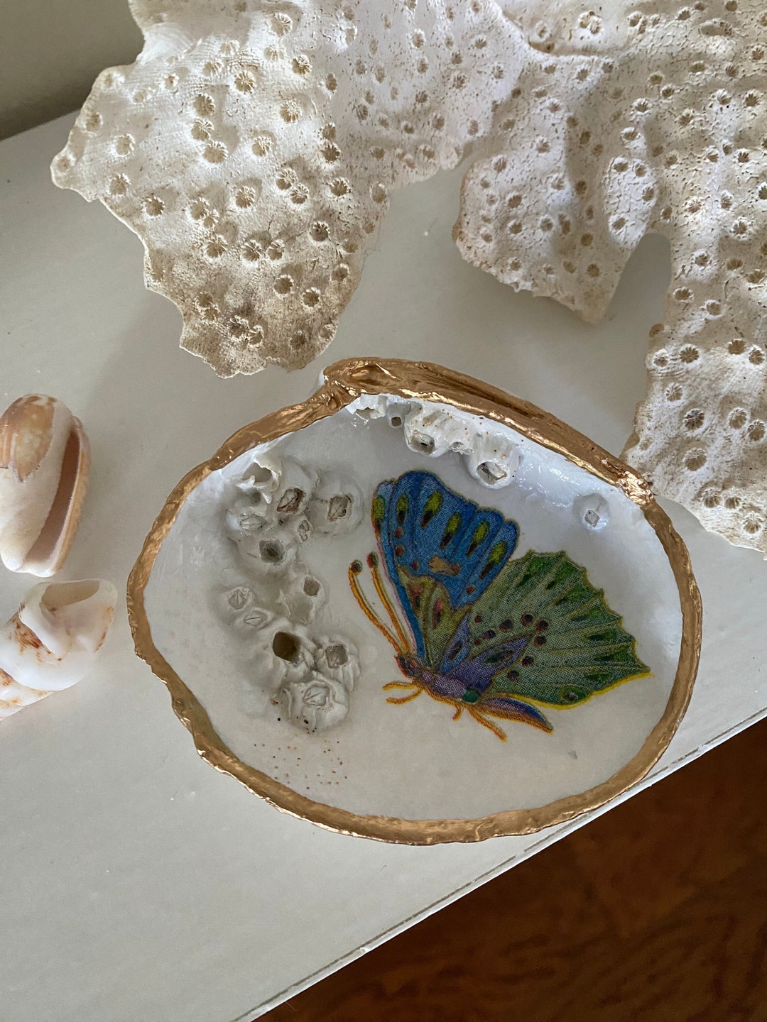 Butterfly, Clam Shell, Trinket Dish, Jewelry Dish, Beach Decor - Etsy
