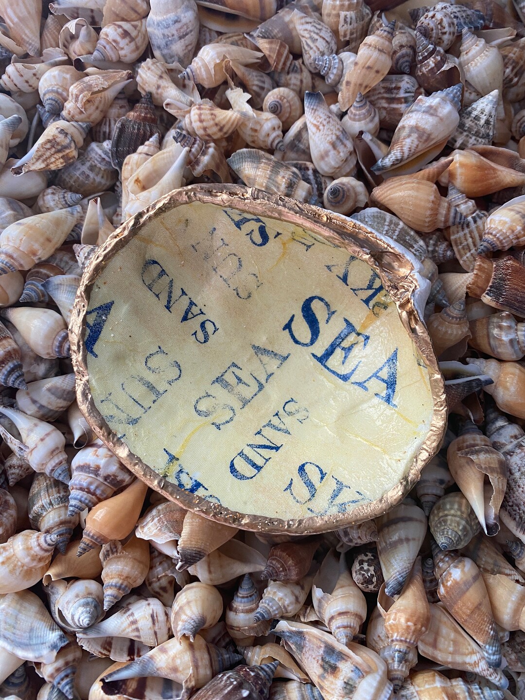 Sea Sand Sun, Clam Shell, Trinket Dish, Jewelry Dish, Beach Decor - Etsy