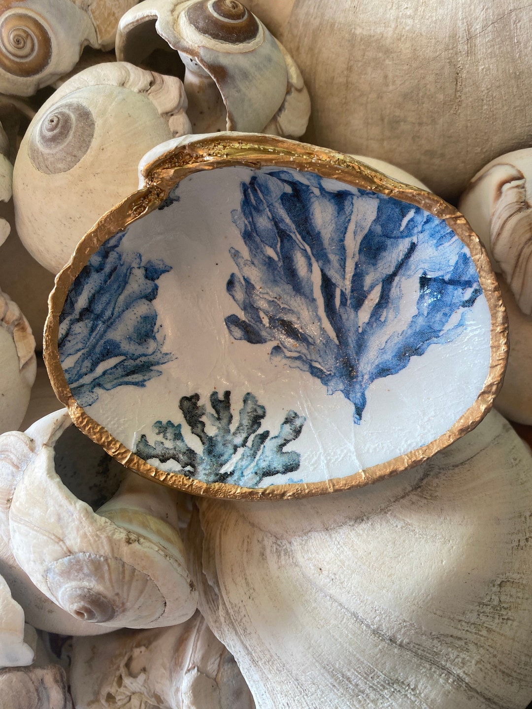 Lovely Delicate Blue Coral on Clam Shell, Trinket Dish, Jewelry Dish ...