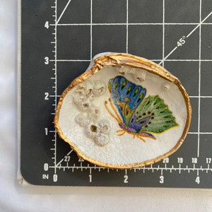 Butterfly, Clam Shell, Trinket Dish, Jewelry Dish, Beach Decor - Etsy