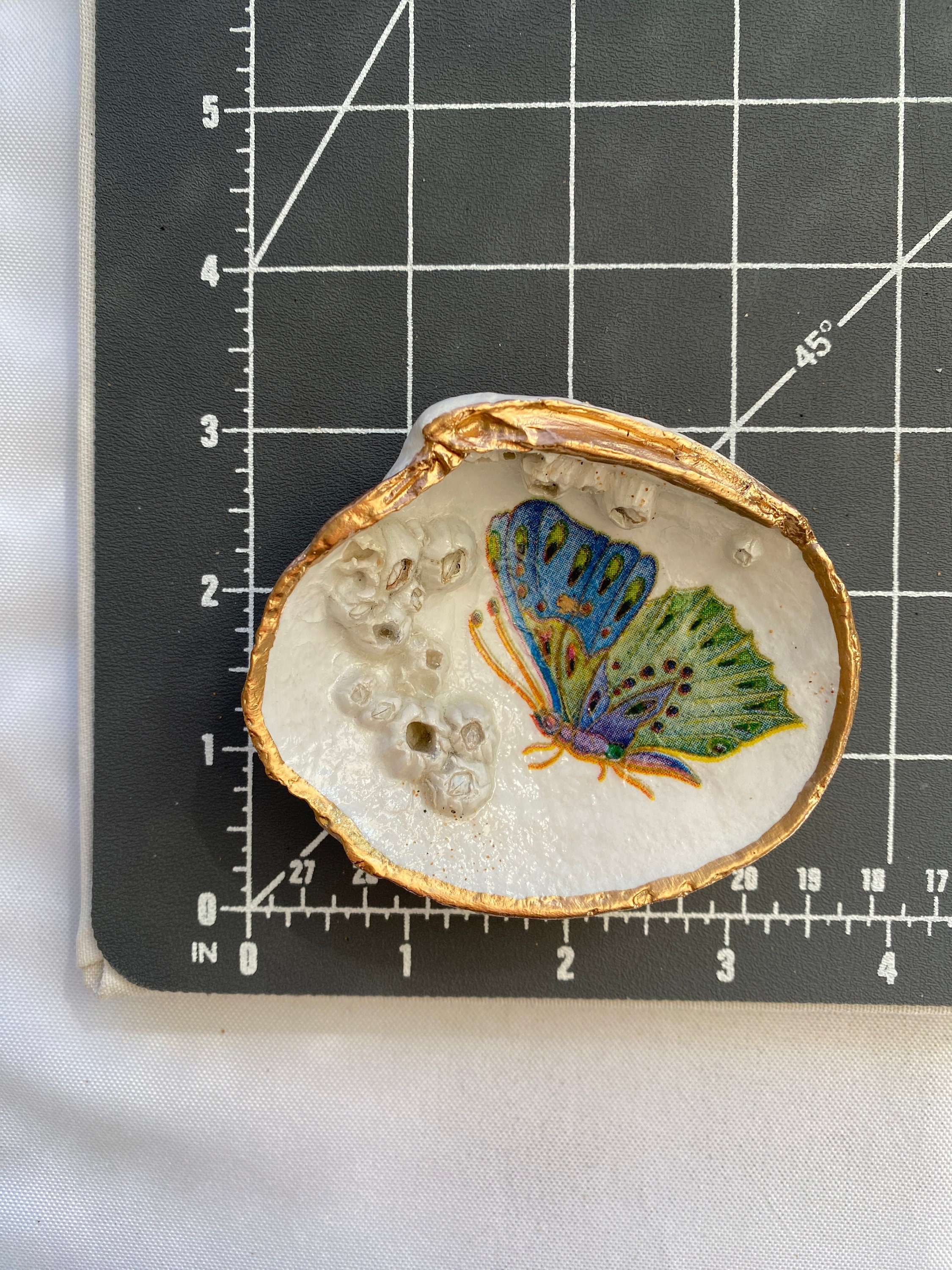 Butterfly, Clam Shell, Trinket Dish, Jewelry Dish, Beach Decor - Etsy