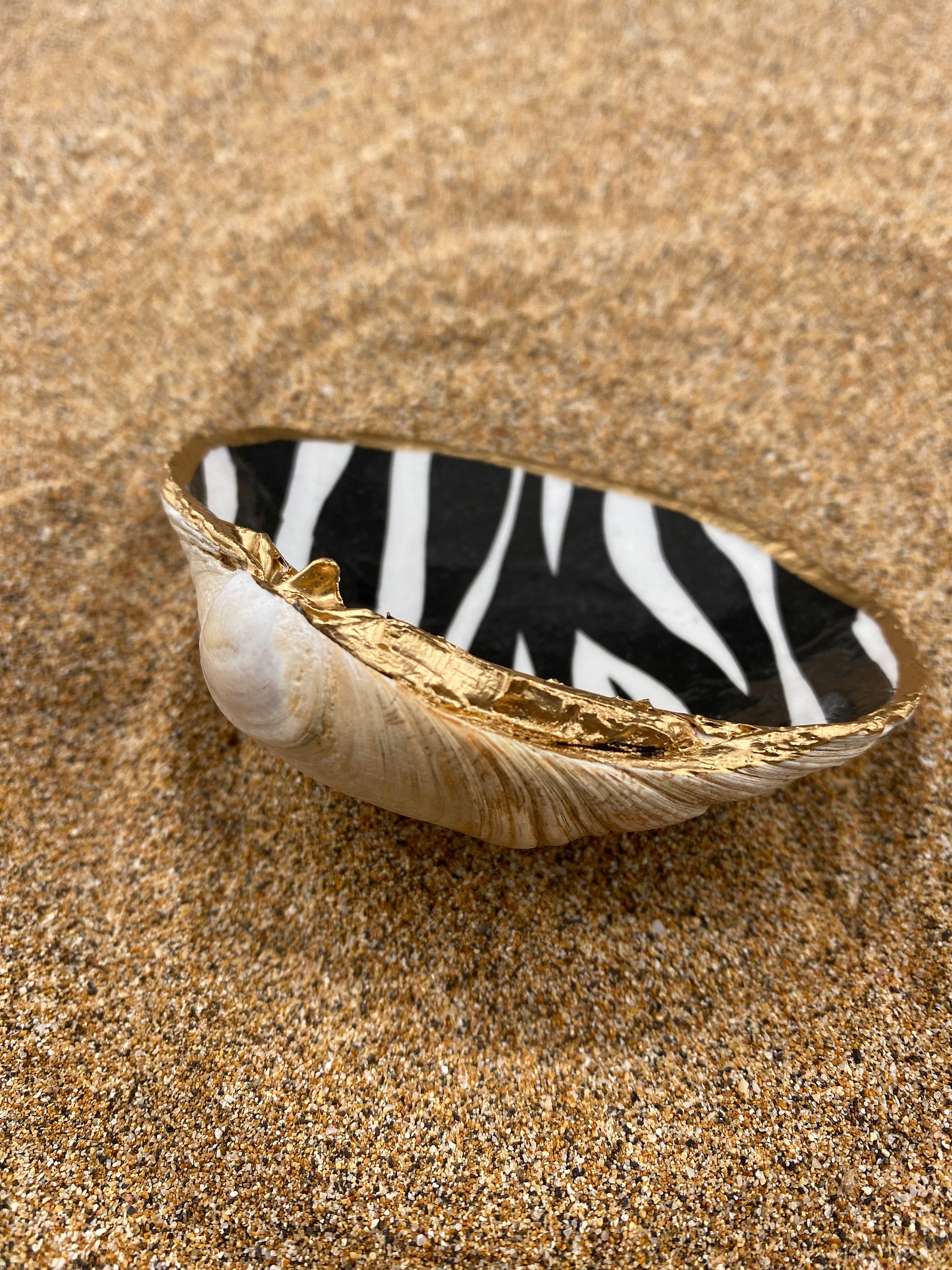 Zebra Print on Clam Shell, Trinket Dish, Jewelry Dish, Beach Decor - Etsy