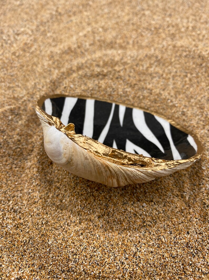 Zebra Print on Clam Shell, Trinket Dish, Jewelry Dish, Beach Decor - Etsy