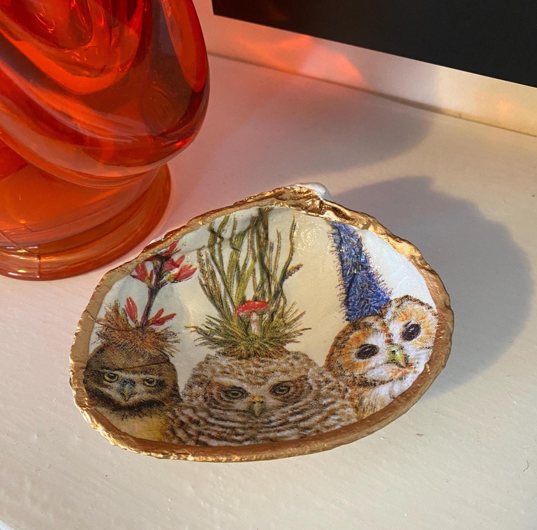 Super Fun Owls and Flowers on Clam Shell, Trinket Dish, Jewelry Dish ...