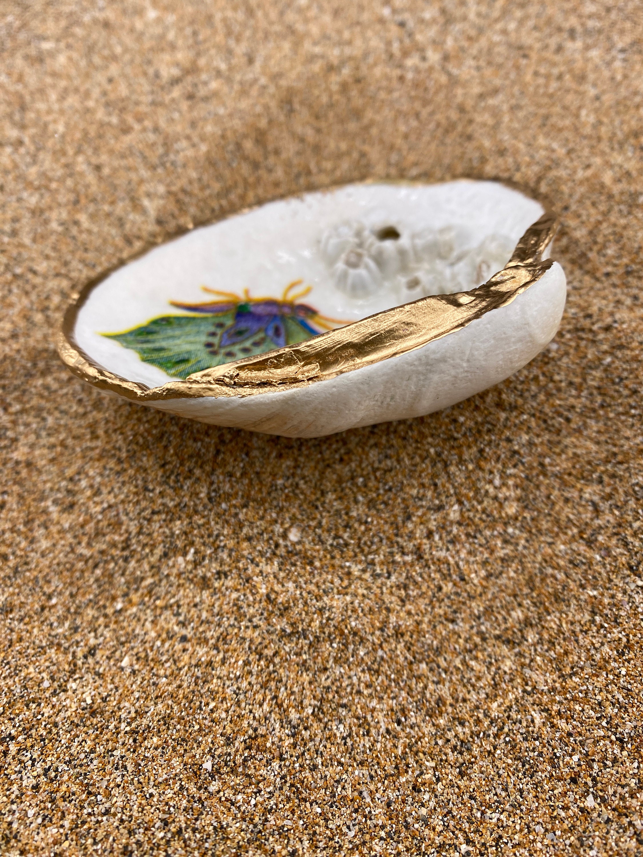 Butterfly, Clam Shell, Trinket Dish, Jewelry Dish, Beach Decor - Etsy