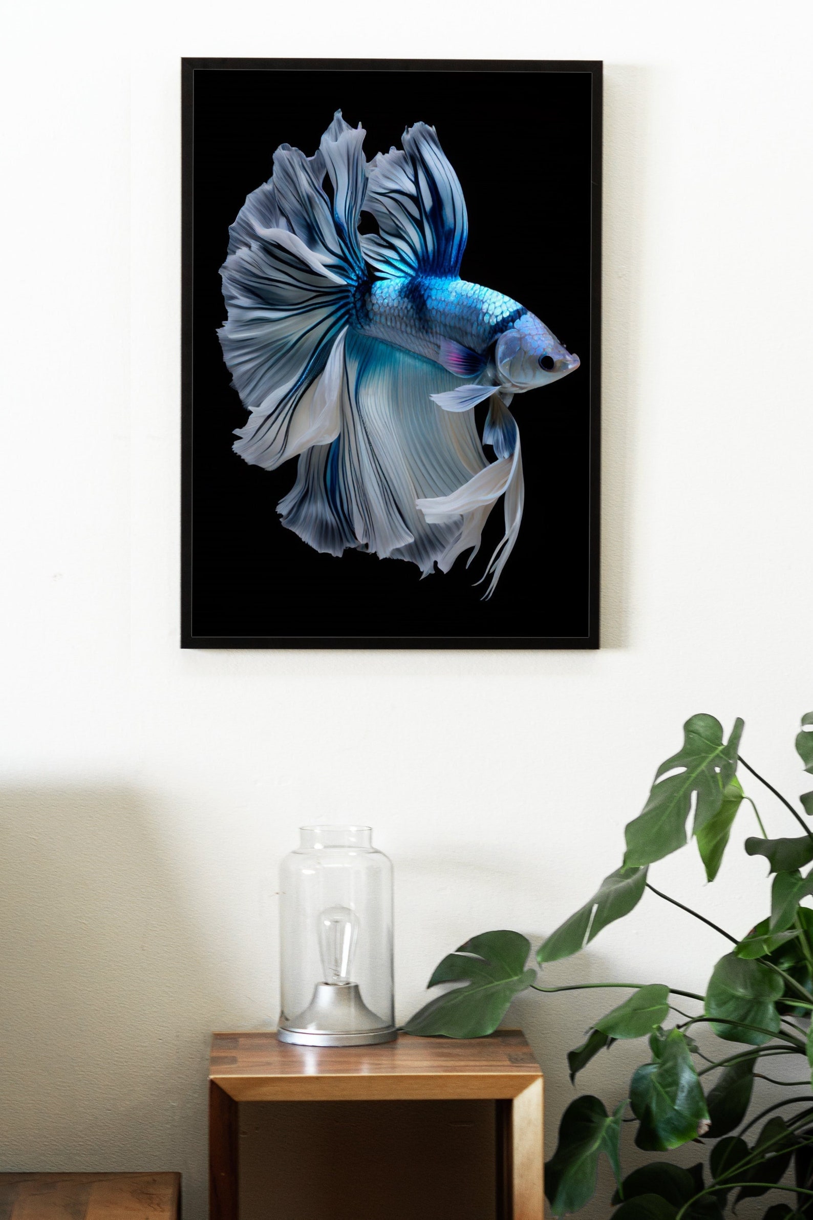 White and Blue Betta - Etsy