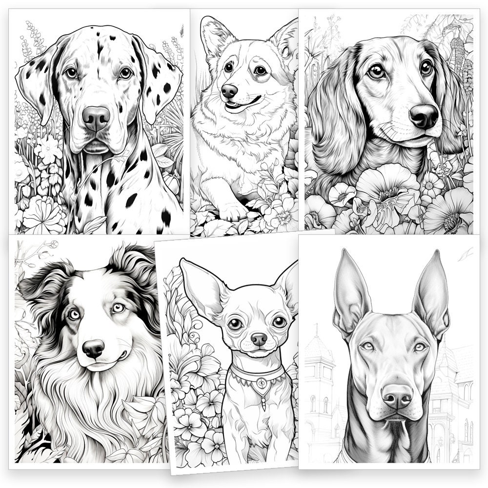 Dog Breeds Coloring Book Dogs Coloring Book 40 Coloring Pages Digital ...