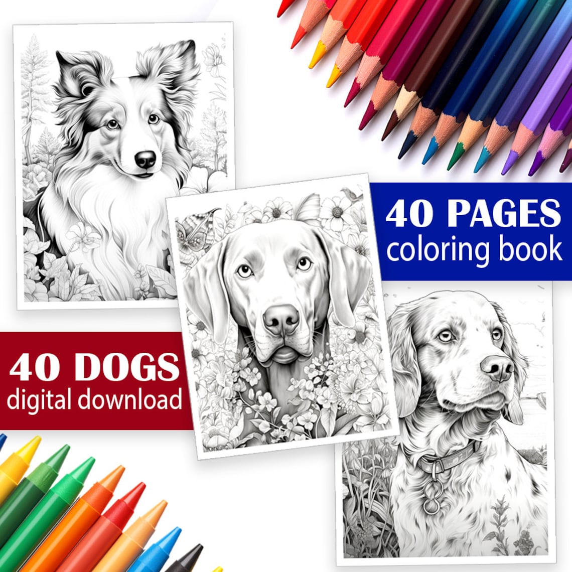 Dog Breeds Coloring Book Dogs Coloring Book 40 Coloring Pages Digital ...