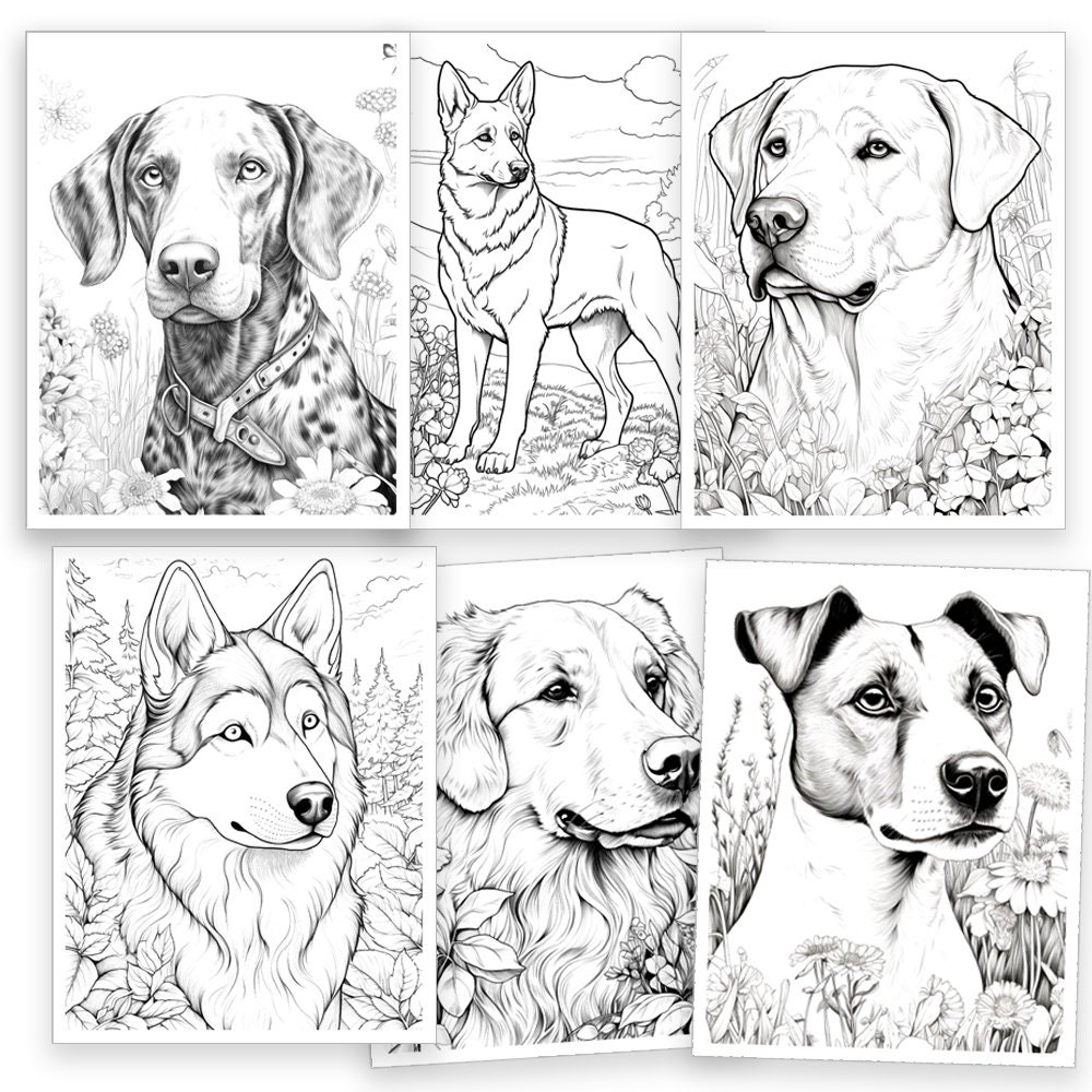 Dog Breeds Coloring Book Dogs Coloring Book 40 Coloring Pages Digital ...