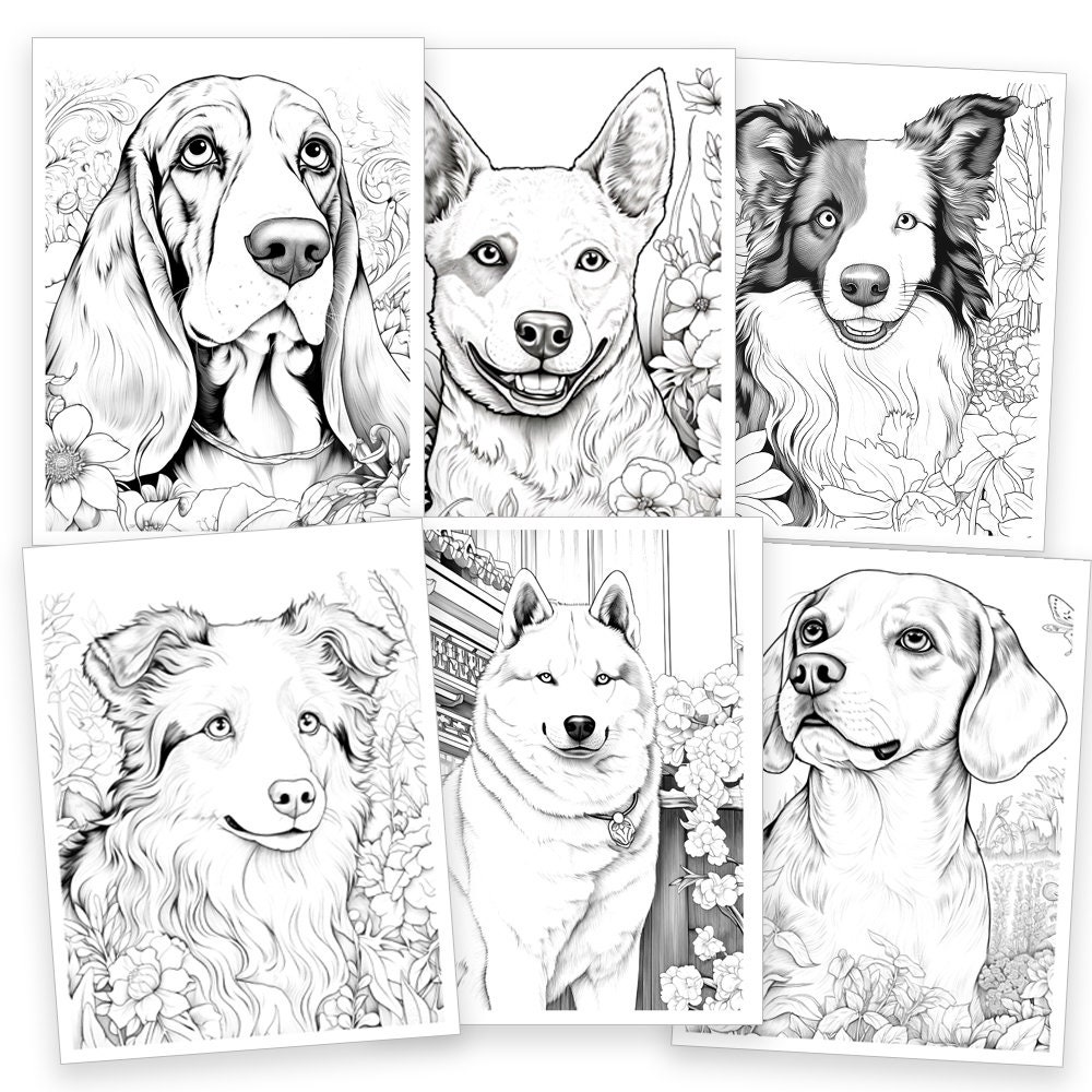 Dog Breeds Coloring Book Dogs Coloring Book 40 Coloring Pages