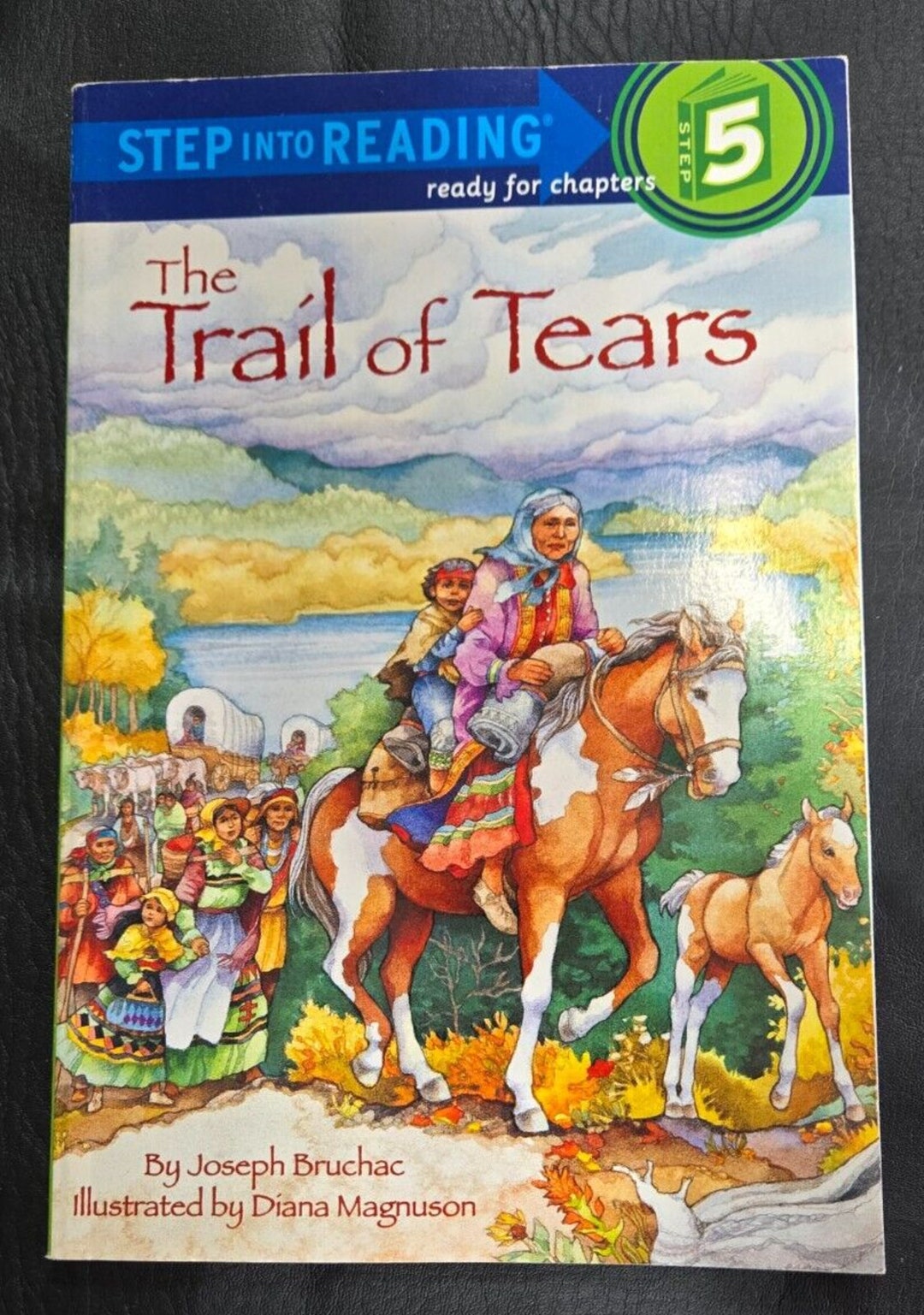 Trail of Tears step-into-reading, Step 5 Homeschool Classroom Kids ...