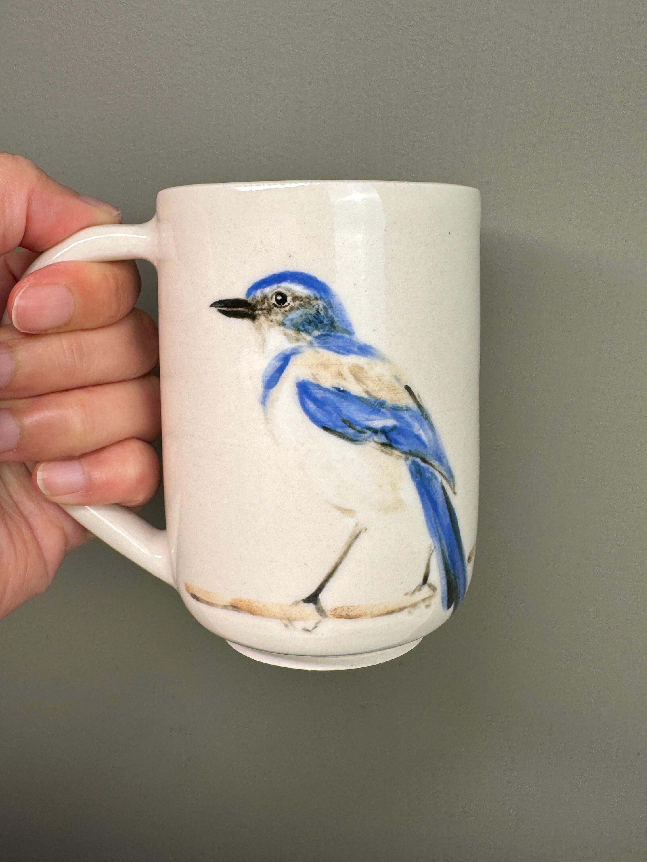 California Scrub Jay Porcelain Mug Handmade Pottery Painted Ceramics ...