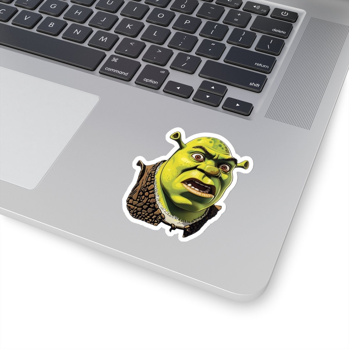Shrek Fan Art Shrek Meme Sticker Kids Movie Decal - Etsy