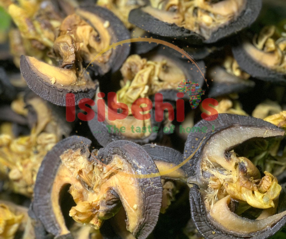 Oven Dried Snails (10 Pcs per Pack). Best Quality and Price Deals - Etsy