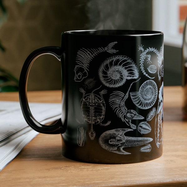 Prehistoric Fossils - Etsy