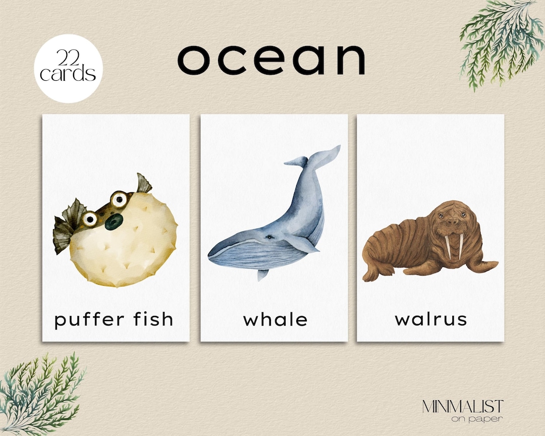 Ocean Animal Flash Cards Kids Sea Animal Cards Digital Download ...