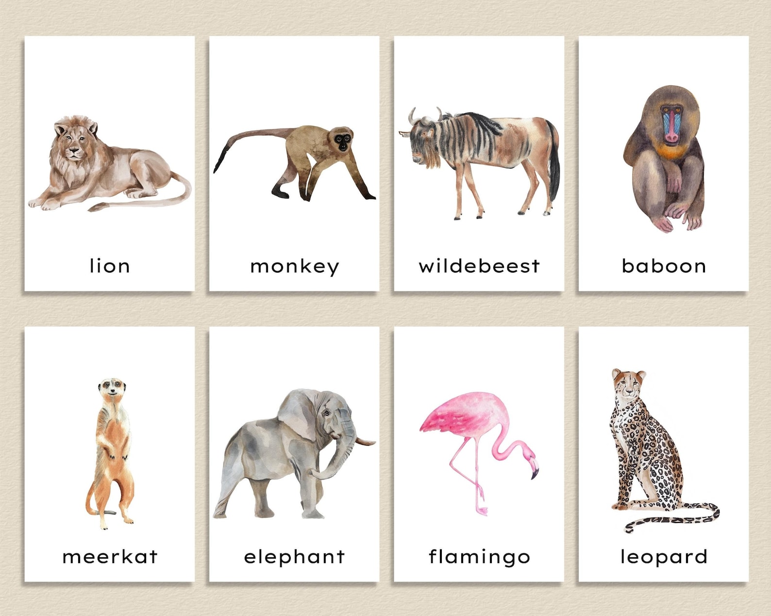Safari Animal Flash Cards Animals Cards Digital Download Kids Education ...