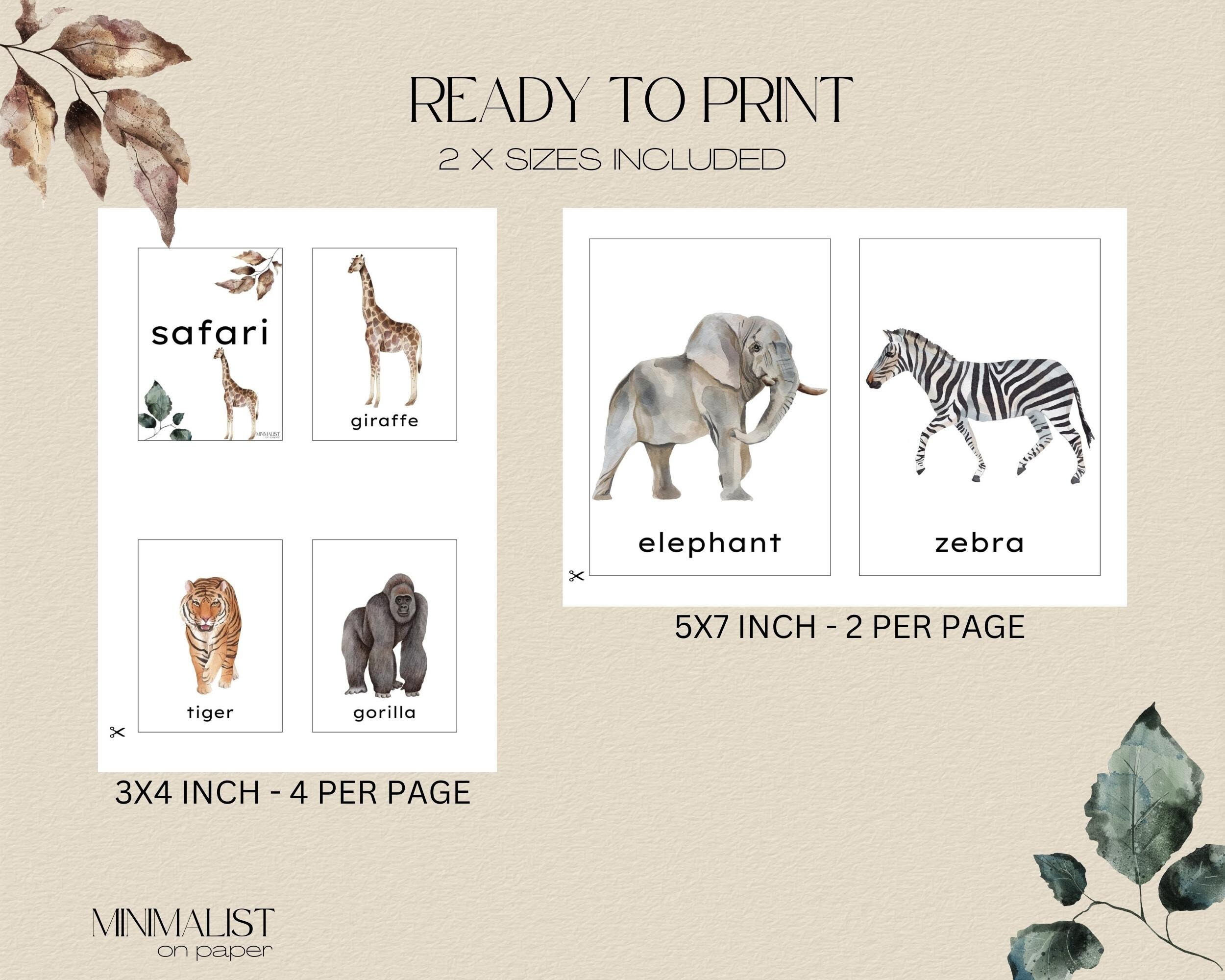 Safari Animal Flash Cards Animals Cards Digital Download Kids Education ...