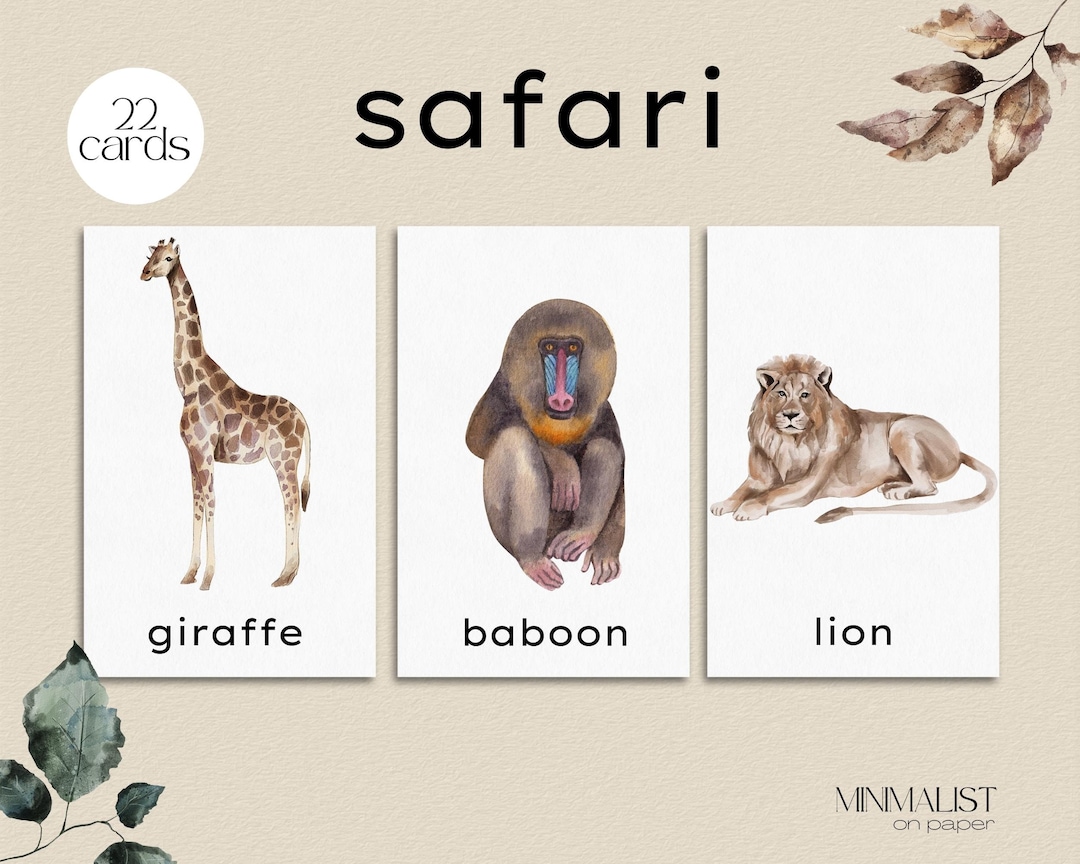Safari Animal Flash Cards Animals Cards Digital Download Kids Education ...