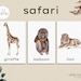 Safari Animal Flash Cards Animals Cards Digital Download Kids Education ...