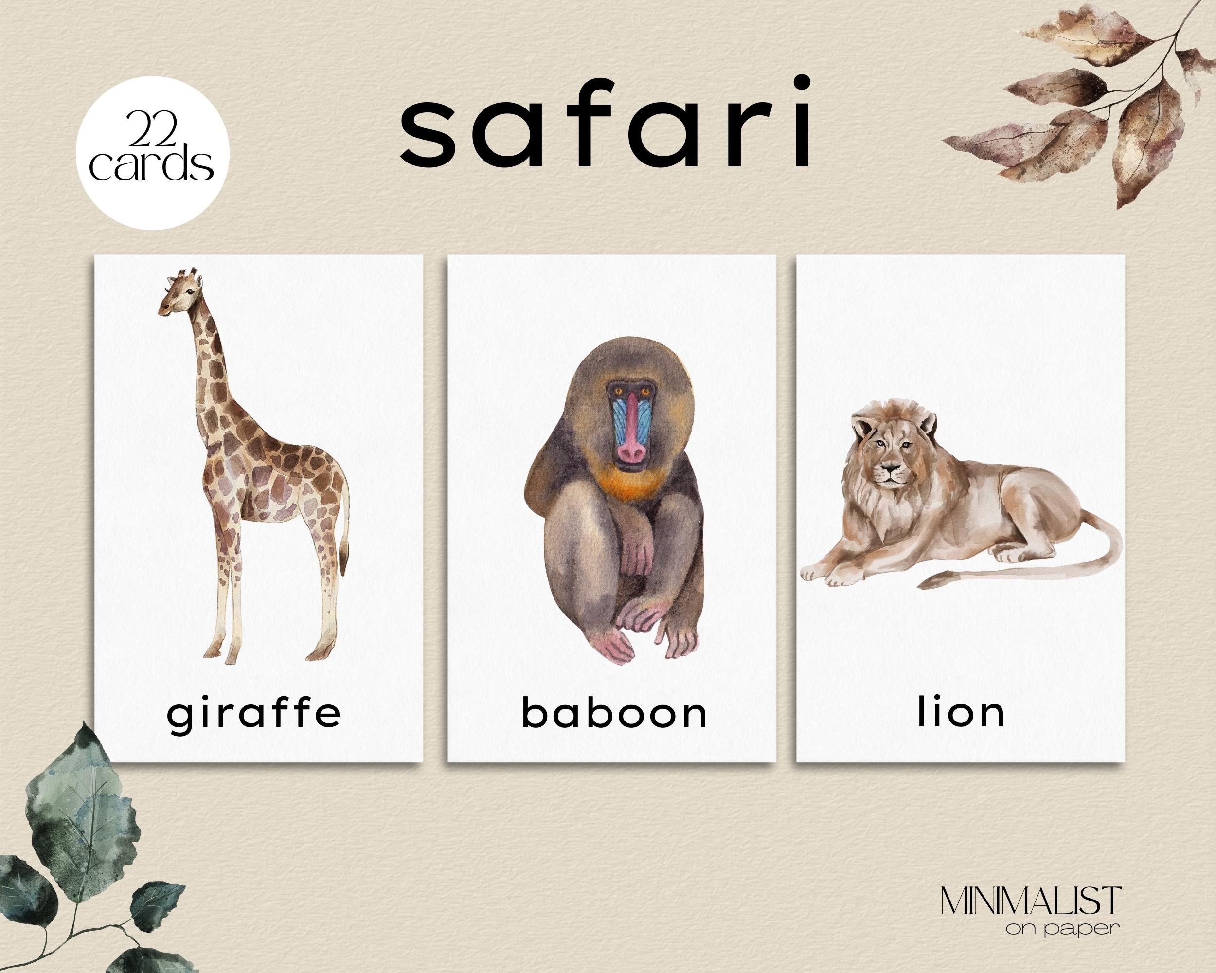 Safari Animal Flash Cards Animals Cards Digital Download Kids Education ...
