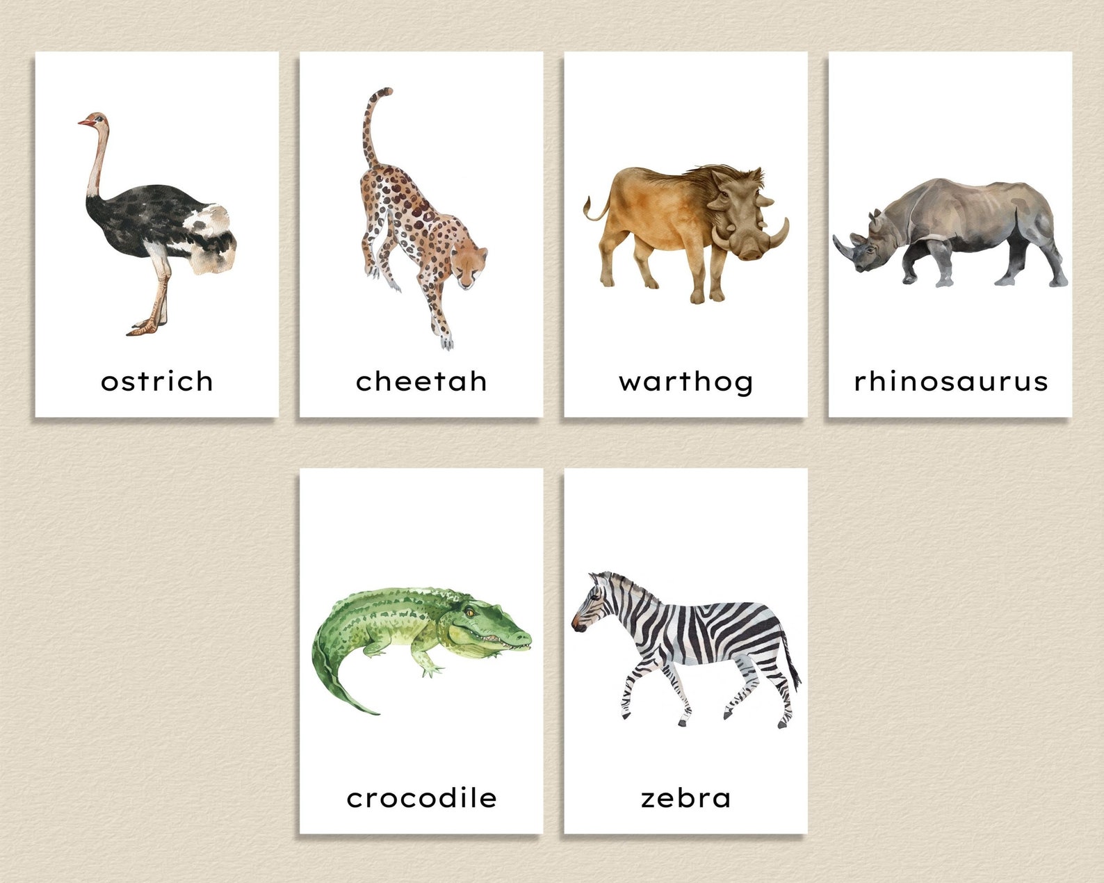 Safari Animal Flash Cards Animals Cards Digital Download Kids Education ...