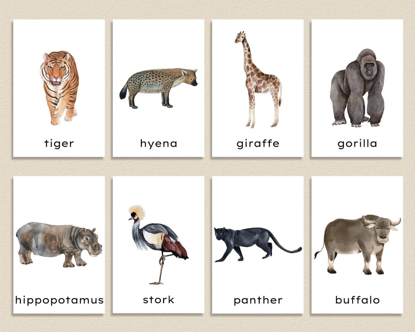 Safari Animal Flash Cards Animals Cards Digital Download Kids Education ...