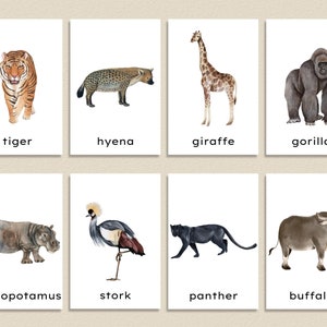 Safari Animal Flash Cards Animals Cards Digital Download Kids Education ...