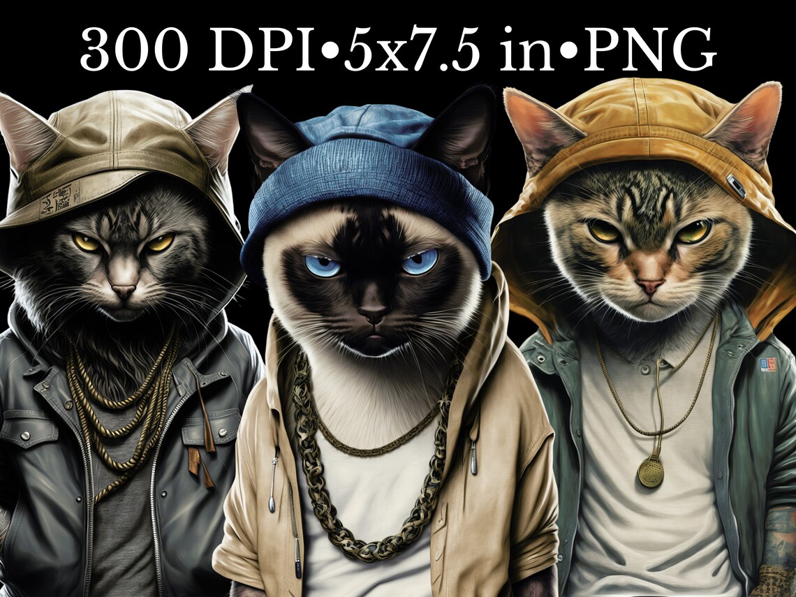 Hip Hop Cat Clipart Bundle Watercolor Art Human Animal PNG - Etsy