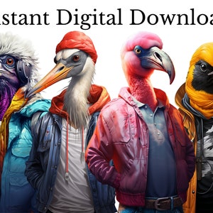 Hip Hop Bird Clipart Bundle, Rapper Cardinal Art, Human Animal PNG ...