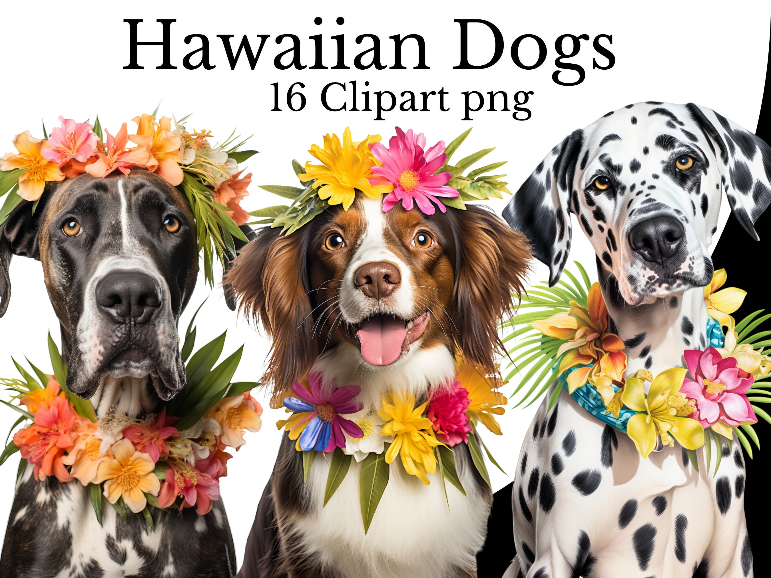 Hawaiian Dog Clipart Bundle Floral Dog Digital Art Human - Etsy